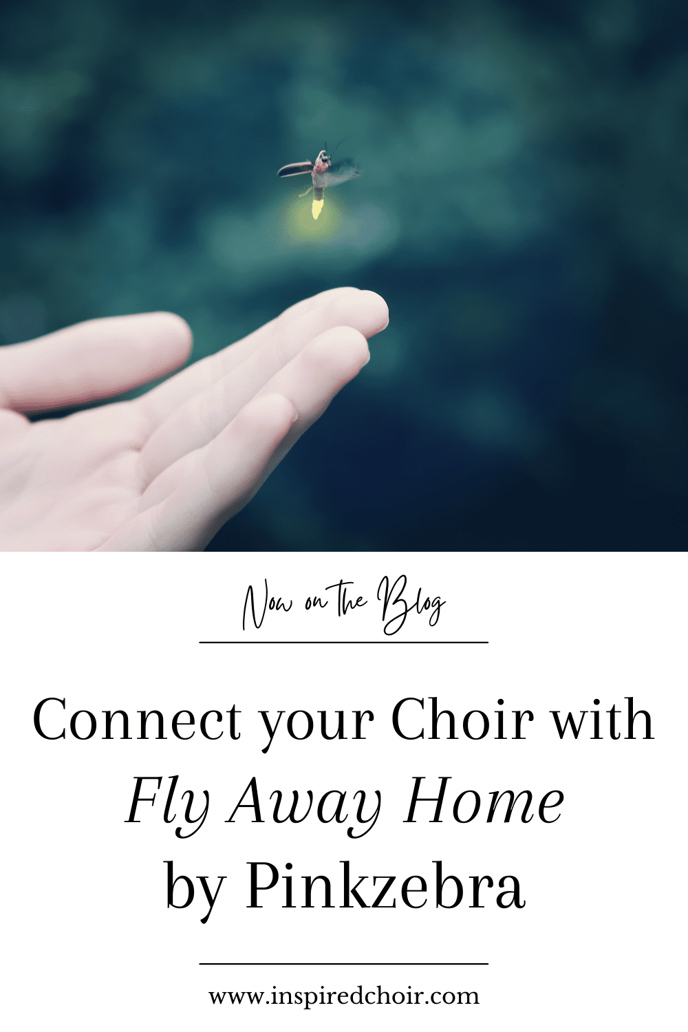 Fly Away Home by PinkZebra - Inspired Choir
