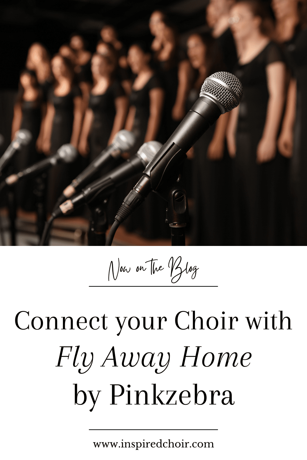 Fly Away Home by PinkZebra - Inspired Choir