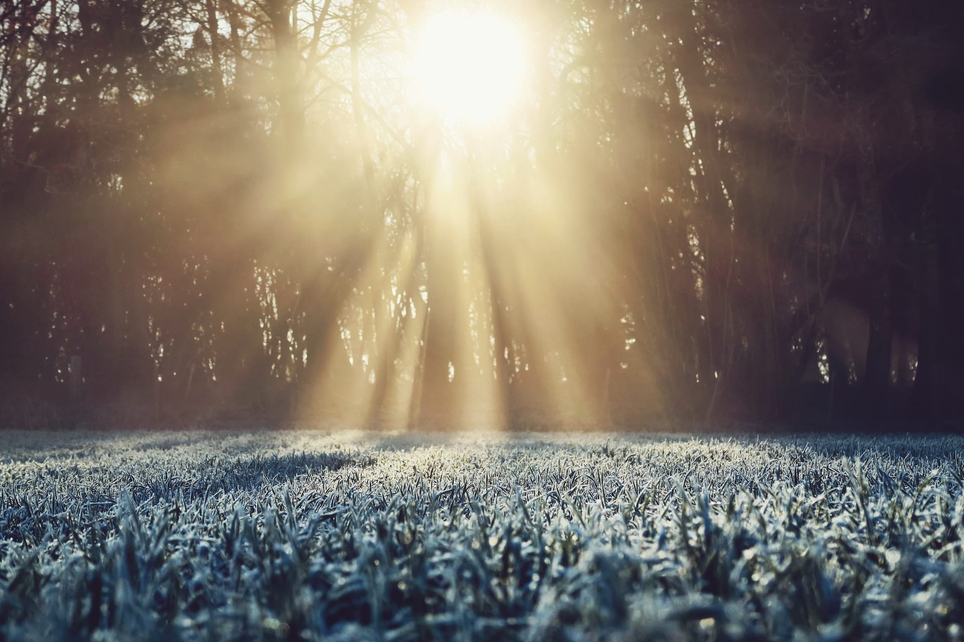 Winter Sun by Don MacDonald - Inspired Choir